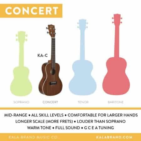 How to Choose the Perfect Ukulele Size | Best Starter Ukulele