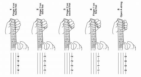 How to Read Ukulele Tabs - Ukulele.io
